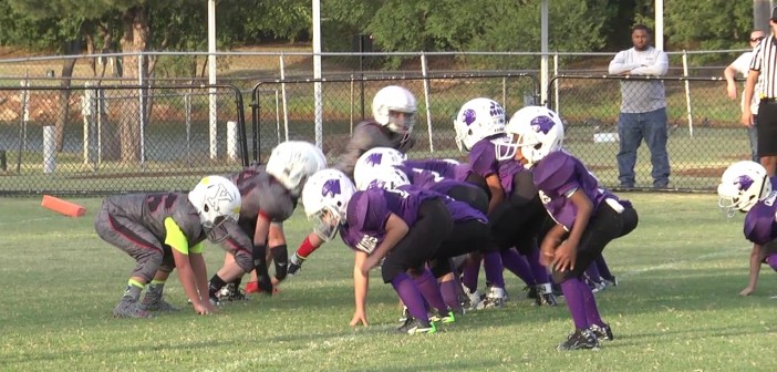 2015 COFL PCO 7U Panthers